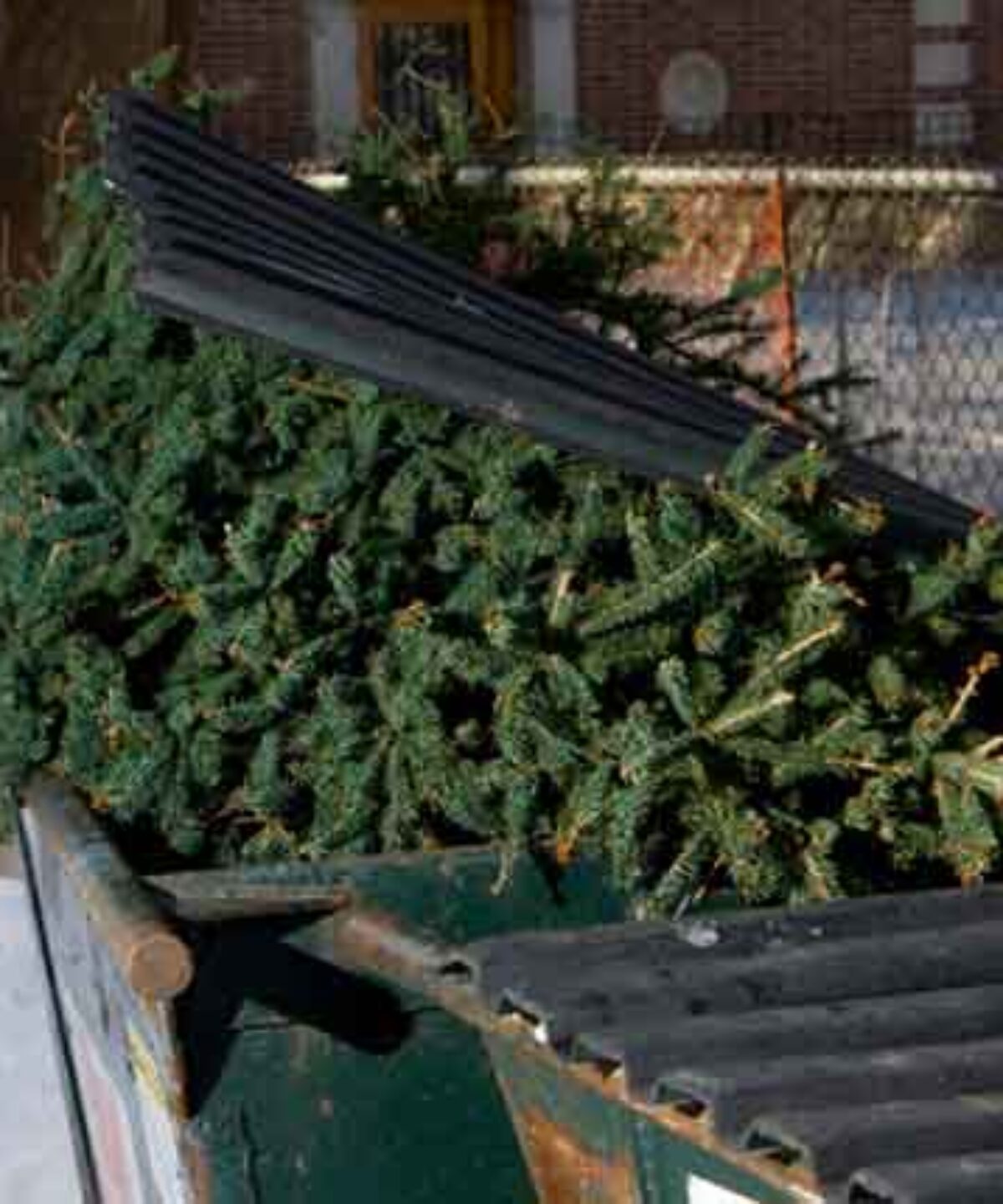 Fast Indianapolis Dumpster Rentals for Quick and Easy Cleanups